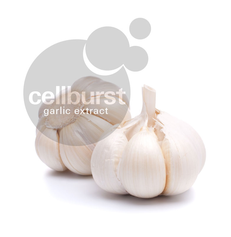 Kelpak Seaweed Extract